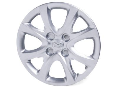 Cap Assy-Wheel Hub 529601R000 for Hyundai – The Car Parts Shop