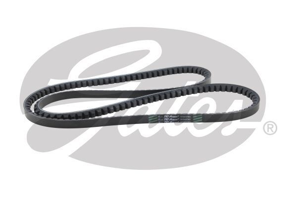 V-Belt – The Car Parts Shop