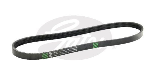 V-Belt – The Car Parts Shop